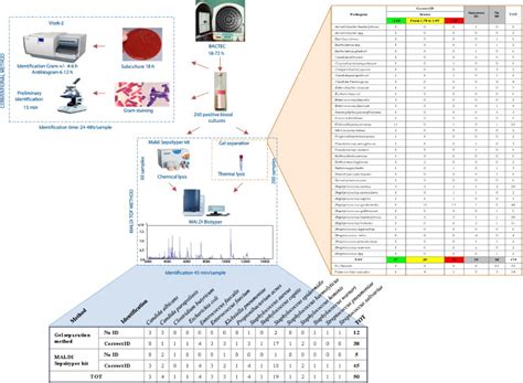 Maldi Tof Ms Based Workflow For Positive Blood Cultures Designed By