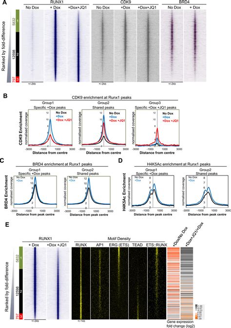 Treatment With Jq1 Inhibits Runx1 Binding And Cdk9 Recruitment To