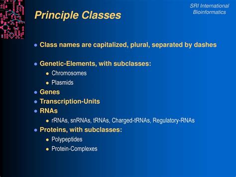 The Pathway Tools Schema Ppt Download