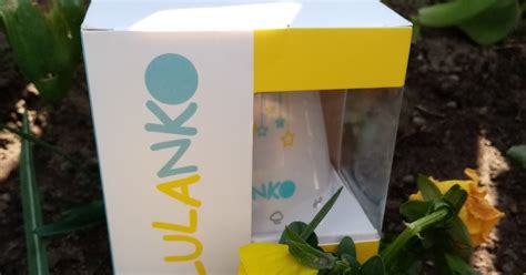 Światek Matek Wariatek Jako Lulanko