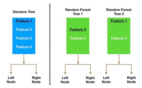 Understanding Random Forest How The Algorithm Works And Why It Is