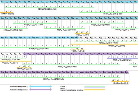 Folding Structure Units In Myoglobin Download Scientific Diagram