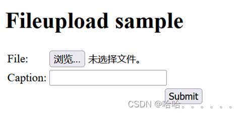 热门框架漏洞 Struts2struts2漏洞 Csdn博客