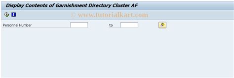 PC00 M03 CLSTAF SAP Tcode Display Garnish Direct Cluster AF