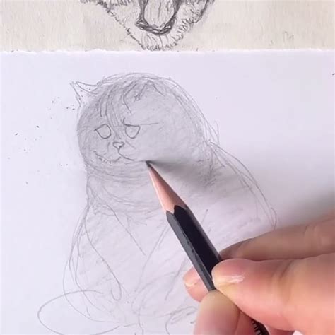 고양이 쉽게 그리기 Youtube