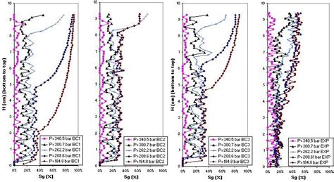 Simulated Gas Saturation Profiles And Experimental Right Download