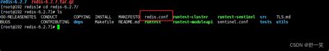 redis的版本选择与linux下的安装（全网最细保姆级别教学） redis版本 csdn博客