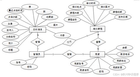 计算机毕业设计springboot乡村振兴平台 “基于spring Boot的乡村发展服务平台搭建与应用” “spring Boot驱动的乡村