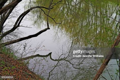 Samara Williams Photos And Premium High Res Pictures Getty Images