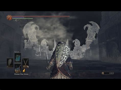 Bug At Archdragon Peek Rdarksouls3