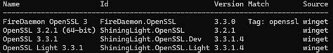 Powershell Winget Not Finding Openssl Super User