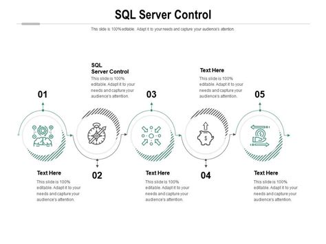 Sql Server Control Ppt Powerpoint Presentation Layouts Themes Cpb Templates Powerpoint