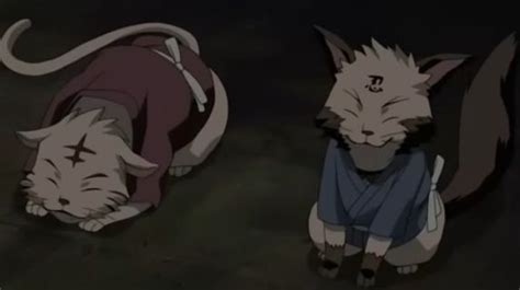 Ninja Cats Denka And Hina