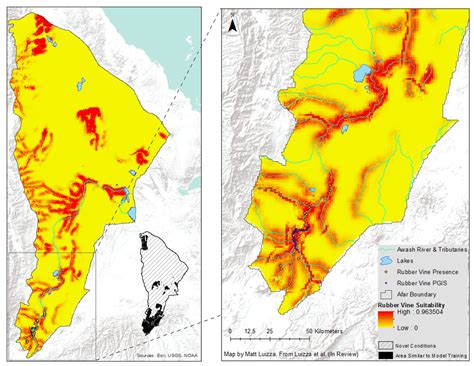 rubber vine relative risk map for ethiopia s afar region areas in red