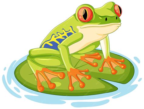 Dibujos Animados De Ranas Verdes En El Lily Pad Vector Gratuito