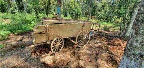 Carroca Antiga No Brasil
