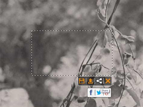 Free Screen Recorder Video Capture Software