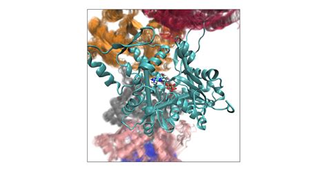 Coarse Grained Directed Simulation Journal Of Chemical Theory And