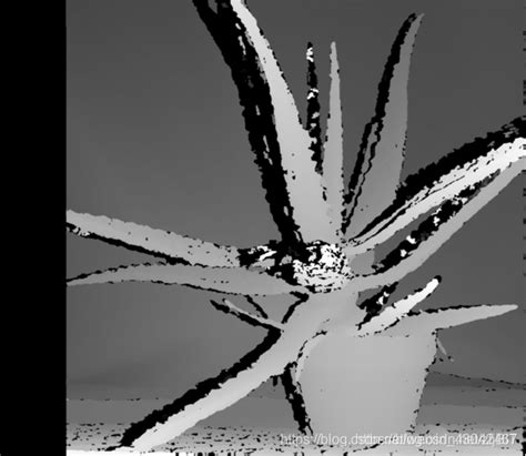 opencv cv：：stereosgbm create 参数的含义 cv stereosgbm create csdn博客