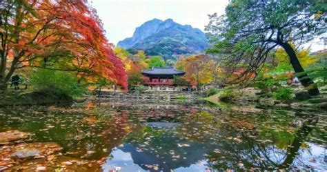 내장산 정읍여행 가볼만한곳 주변관광지 주변맛집 국내여행