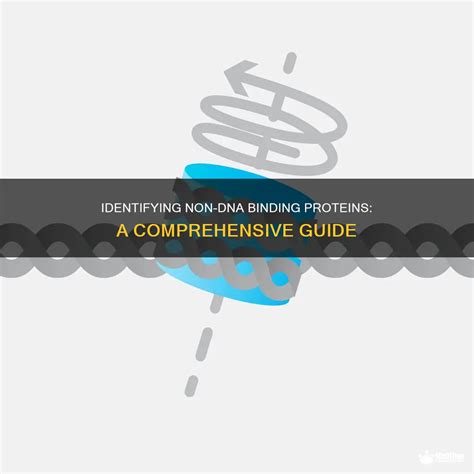 Identifying Non Dna Binding Proteins A Comprehensive Guide Medshun