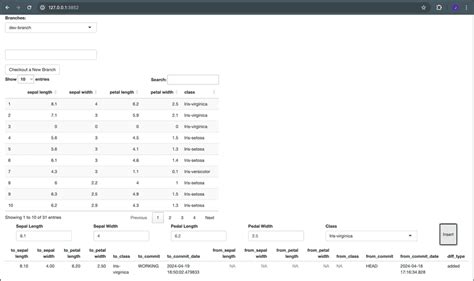 shiny using r works with dolt dolthub blog