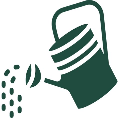 Podocarpus Macrophyllus Maki Unbeleafable