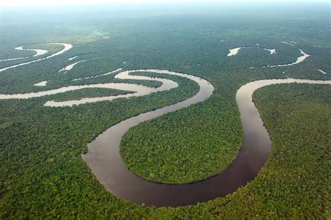 Oxbow Lake Pictures