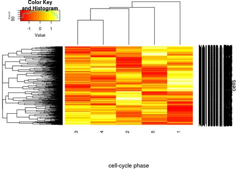 Cell Cycle Analysis