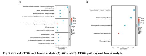 Integrating Bioinformatics And Experimental Data Validating Potential