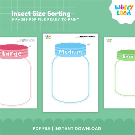 Insect Size Sorting Compare Sort And Learn Sizes Wuffyplayandlearn