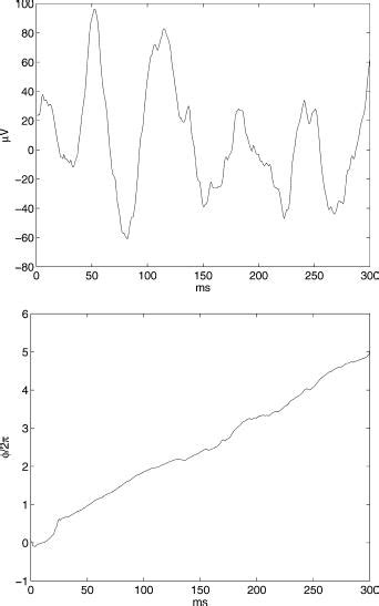 Synchronization In Monkey Visual Cortex Analyzed With An Information