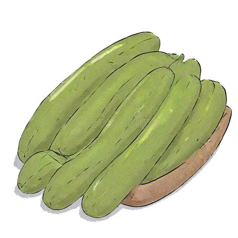 Beans Watercolor Illustration Sketch Drawing Style Clipart Stock