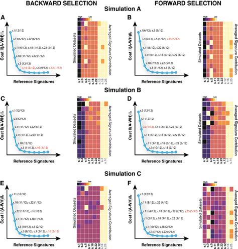 Comparison Between Backward And Forward Feature Selection The Analysis Download Scientific