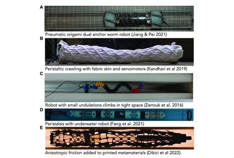 Photos Of Worm Inspired Robots A Pneumatic Origami Dual Anchor Download Scientific Diagram