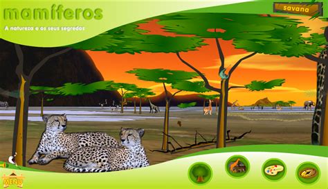 MamÍferos A Natureza E Os Seus Segredos On Behance