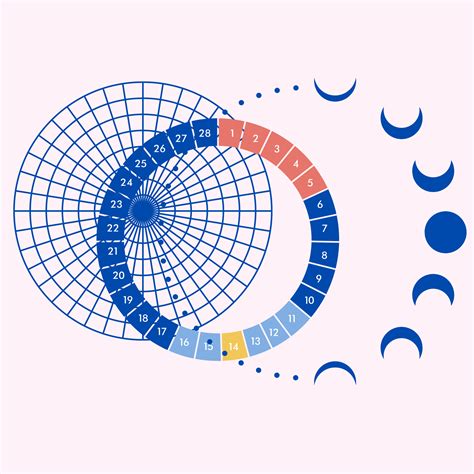 Cycle Mapping A Tool To Support Your Hormonal Health Through Charting