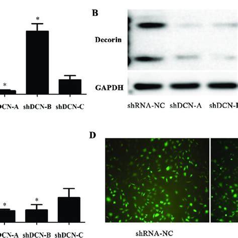 Result Of Rna Seq Data Analysis A Pearsons Correlation Analysis Of Download Scientific