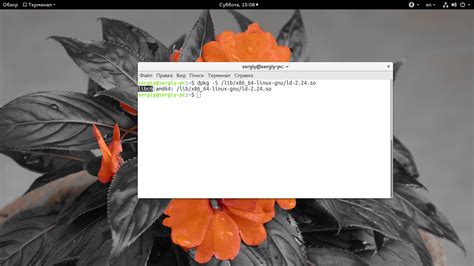Библиотеки Linux Losst