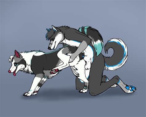 Rule 34 Anatomically Correct Animal Genitalia Animal Penis Anthro