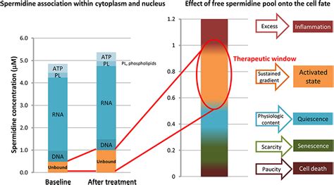 Frontiers Soft Tcptp Agonism—novel Target To Rescue Airway Epithelial Integrity By Exogenous