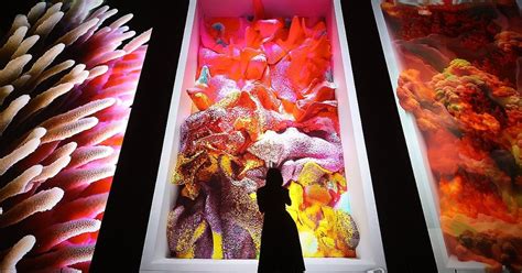 Ai가 꾸는 아름답고 창의적인 꿈…레픽 아나돌 아시아 첫 개인전