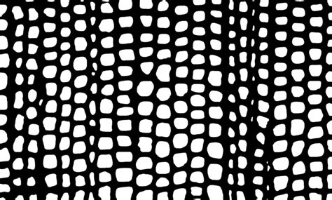 Discretisation Of An Image Left Original Image Of Norway Spruce Download Scientific Diagram