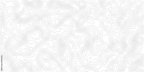 Topography White Background And Black Line Wireframe Isoline Location