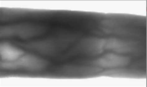 Github Takiee Finger Vein Recognition Research And Implementation Of Finger Vein Recognition