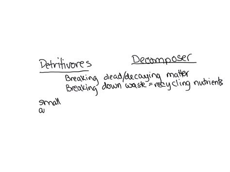 Solved Define Detritivore And Decomposer And Explain Their Importance In Ecosystems