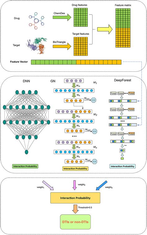 Frontiers | Identifying potential drug-target interactions based on ensemble deep learning
