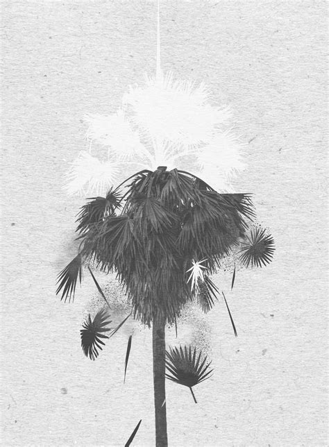 พุทธวจน สมถะ วิปัสสะนา ห้องสมุดเฉลิมพระเกียรติ ๕๐พรรษา ศูนย์รวมใจออสเตรีย ภูเก็ต หน้า