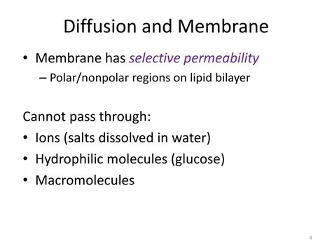 Vocab Solute Stuff We Want To Dissolve Ppt Download