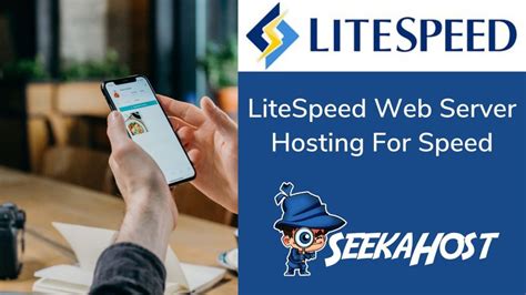 What Is LiteSpeed Web Server Hosting About LiteSpeed Hosting SeekaHost